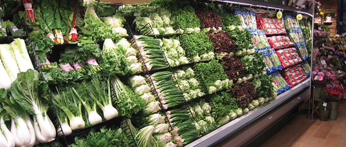 Wet Rack Vertical Set